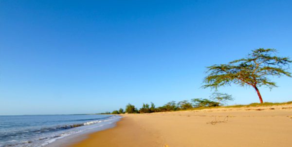 Saadani National Park | Enjoy the Best Park for Beach Holidays