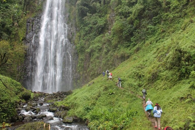 Materuni Water Falls | Best of Coffee & Waterfalls Tour In Tanzania