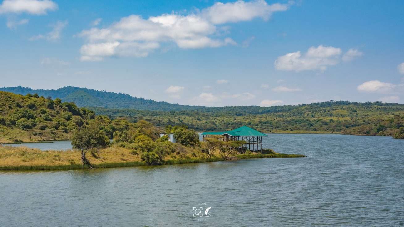 Discover and explore the diversity Tanzania National Parks
