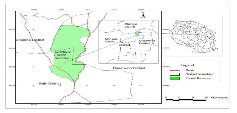 Chenene Forest | Kiwoito Africa Safaris