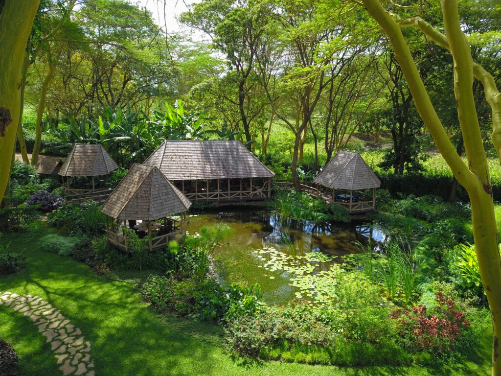 Tumbili Lodge | Kiwoito Africa Safaris