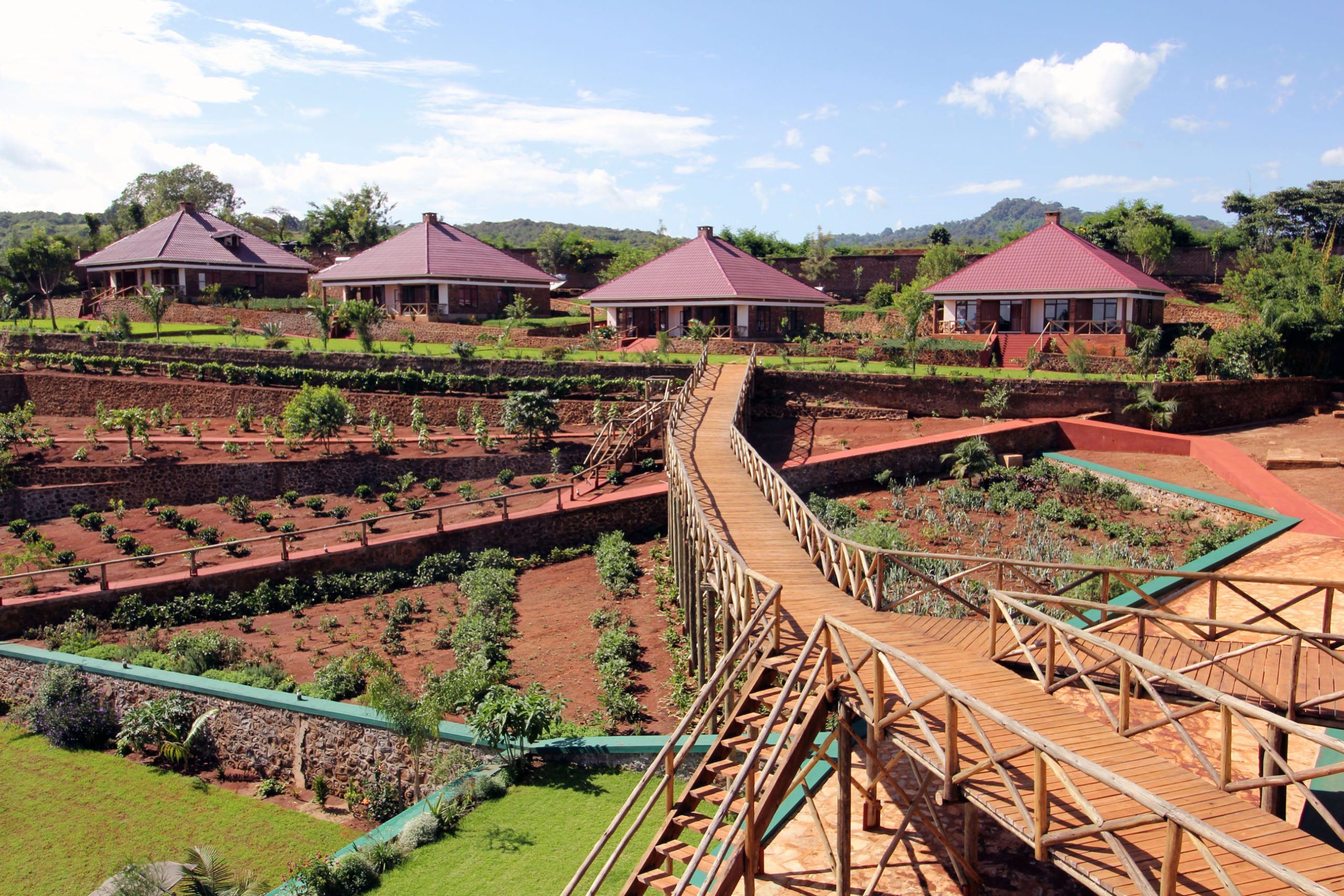 Ngorongoro Marera Mountain View Lodge | Kiwoito Africa Safaris