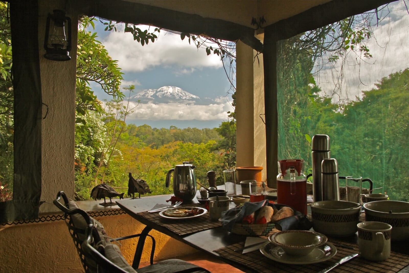 Makoa Çiftlik Turu | Hayvan Kurtarma Merkezinde Bir Gün