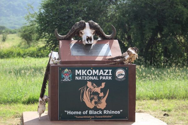 Mkomazi National Park | Northeastern Tanzania & Kenya