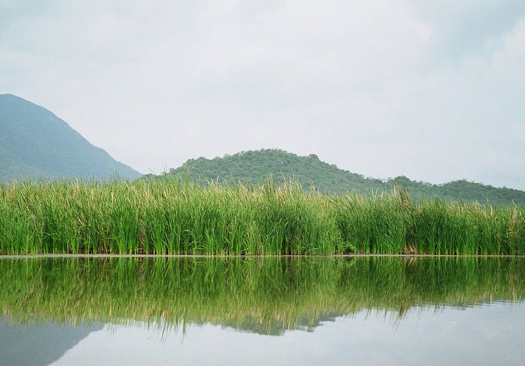 Lake Jipe | East Africa Inter-Territorial Lake Tanzania , Kenya