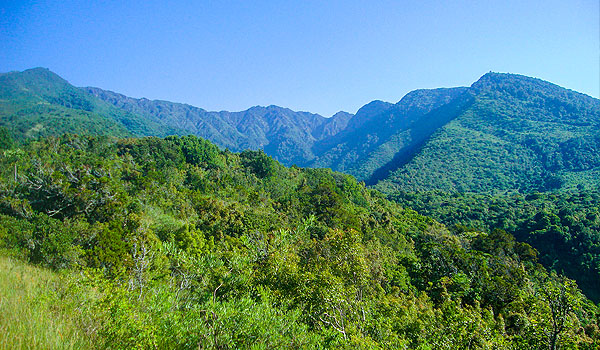 Mount Hanang | Night Hike