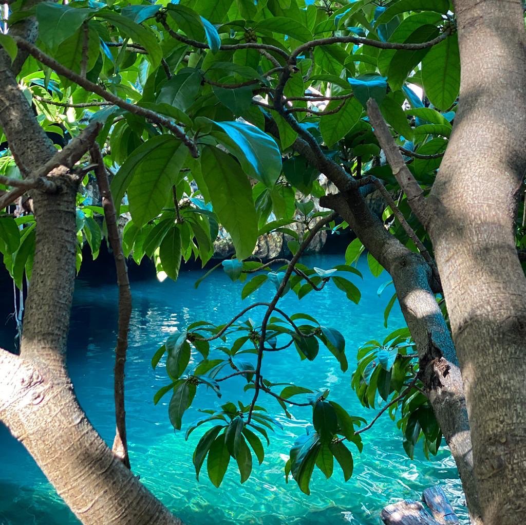 Maalum Cave | A special place to reconnect with nature